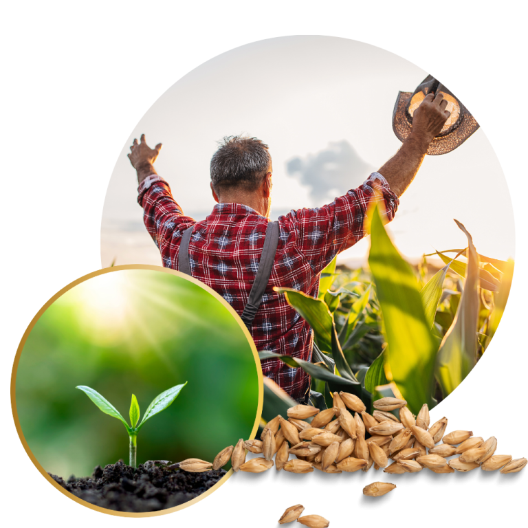 Allen County Soil and Water Conservation District – Soil, Water and ...